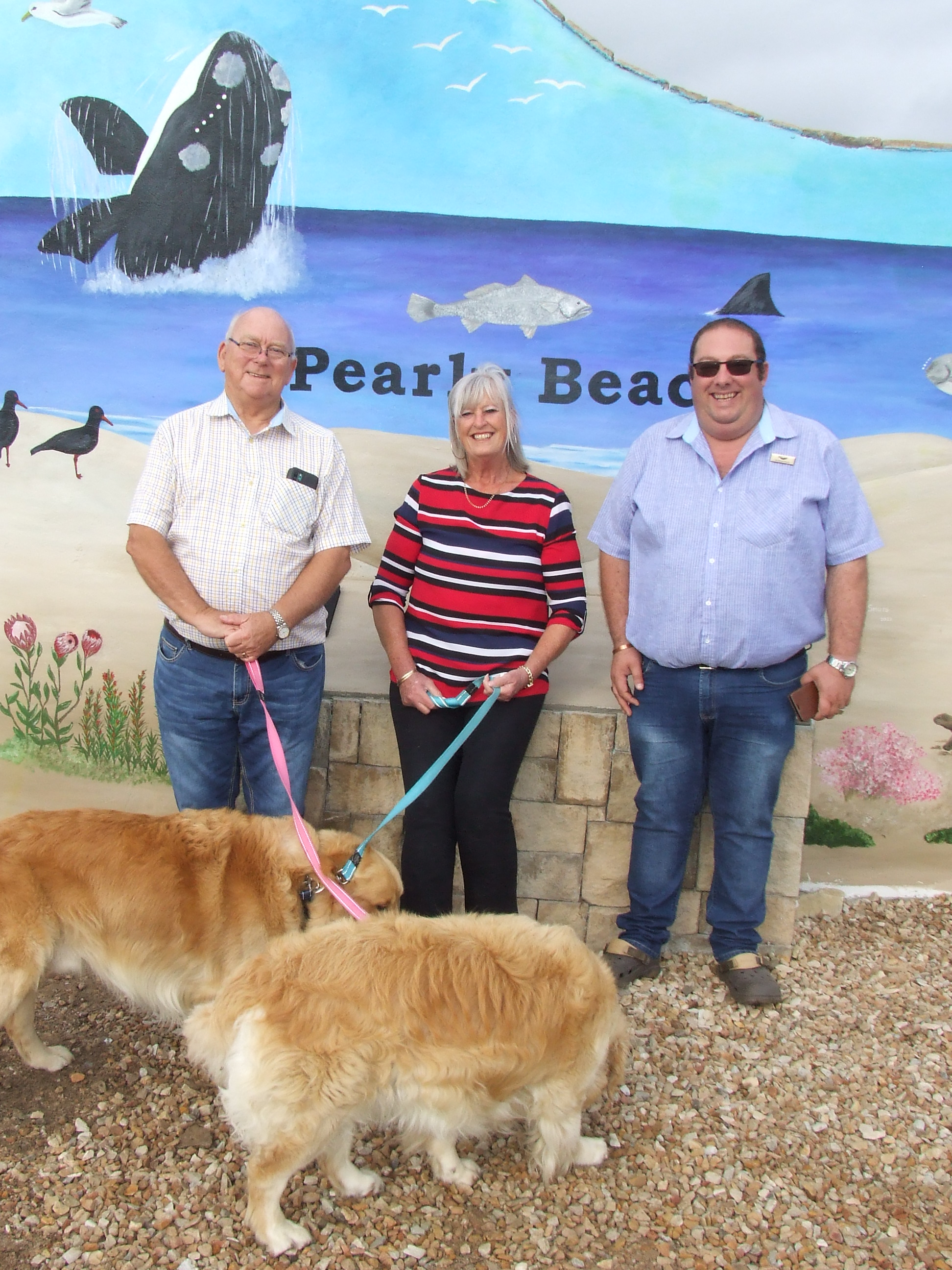 Facelift for Pearly Beach Entrance Wall - Pearly Beach Ratepayers ...