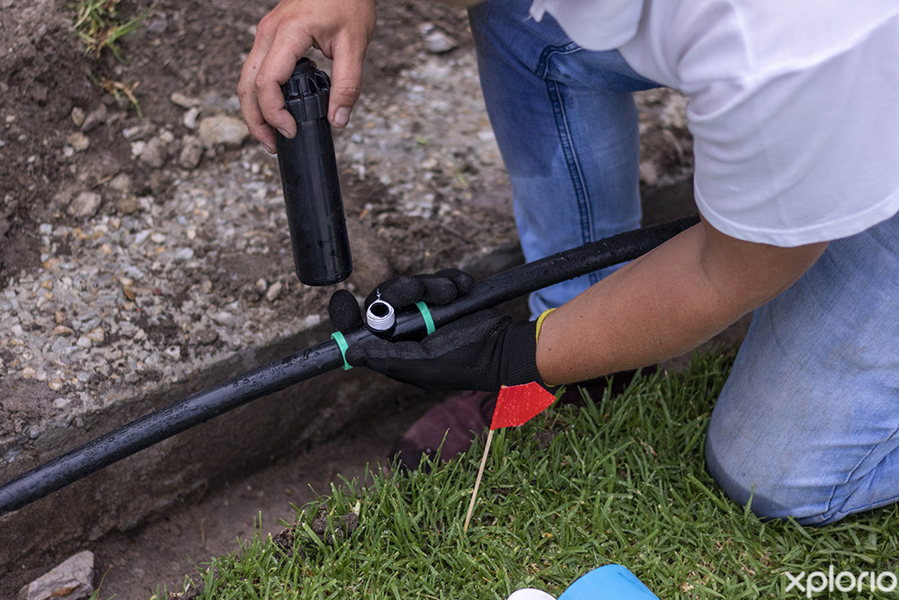 Home Irrigation System - Eco-Flo Irrigation - Xplorio™ Gansbaai