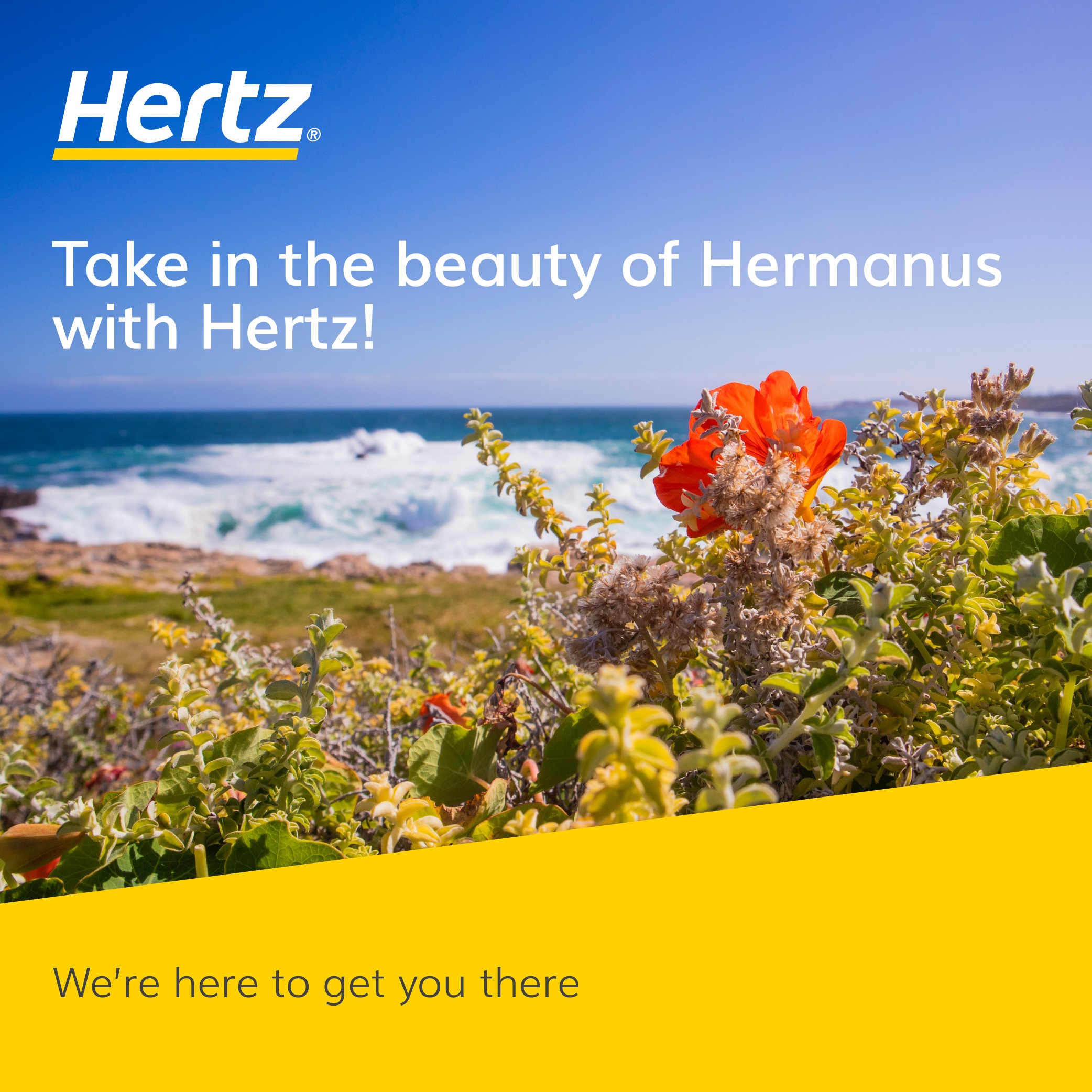 Explore Hermanus With Hertz Hertz Rent A Car Xplorio Hermanus Explore Hermanus With Hertz Hertz Rent A Car Xplorio Hermanus